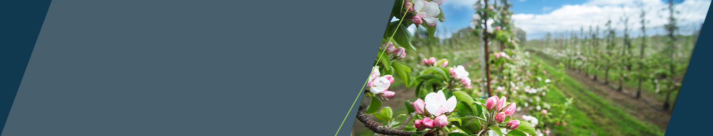 Bayer CropScience Norge