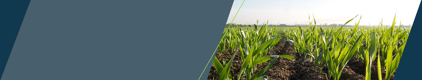 Bayer CropScience Norge