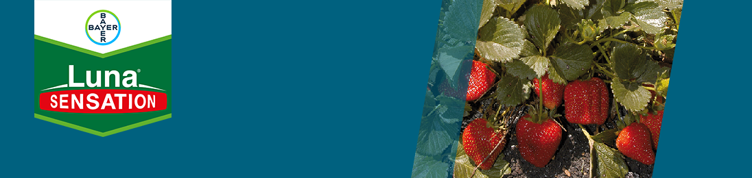 Bayer CropScience Norge