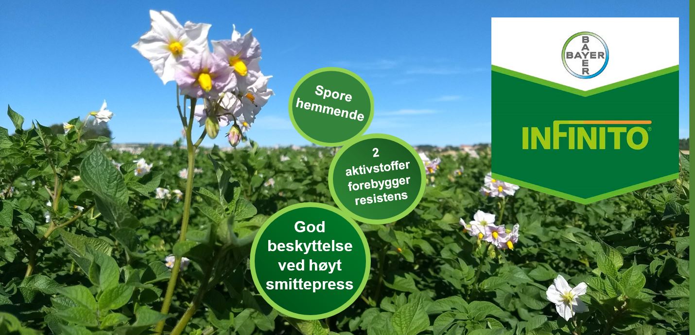 Bayer CropScience Norge
